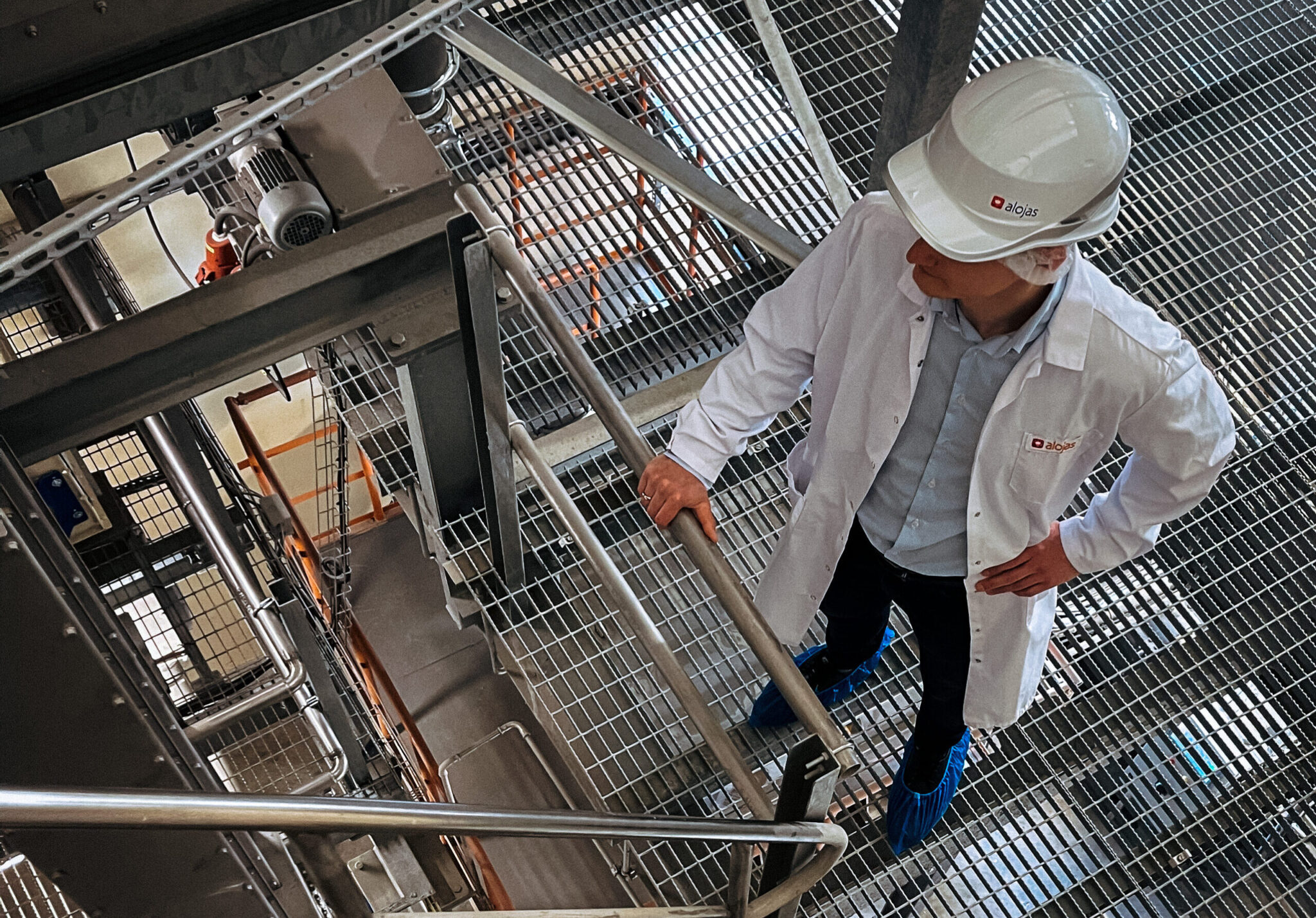 Plant based protein. New legume processing line